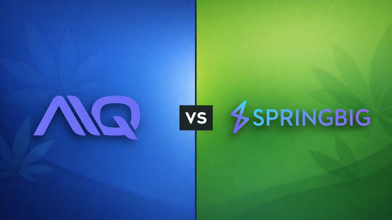 Alpine IQ vs Springbig: CRM + Loyalty Comparison